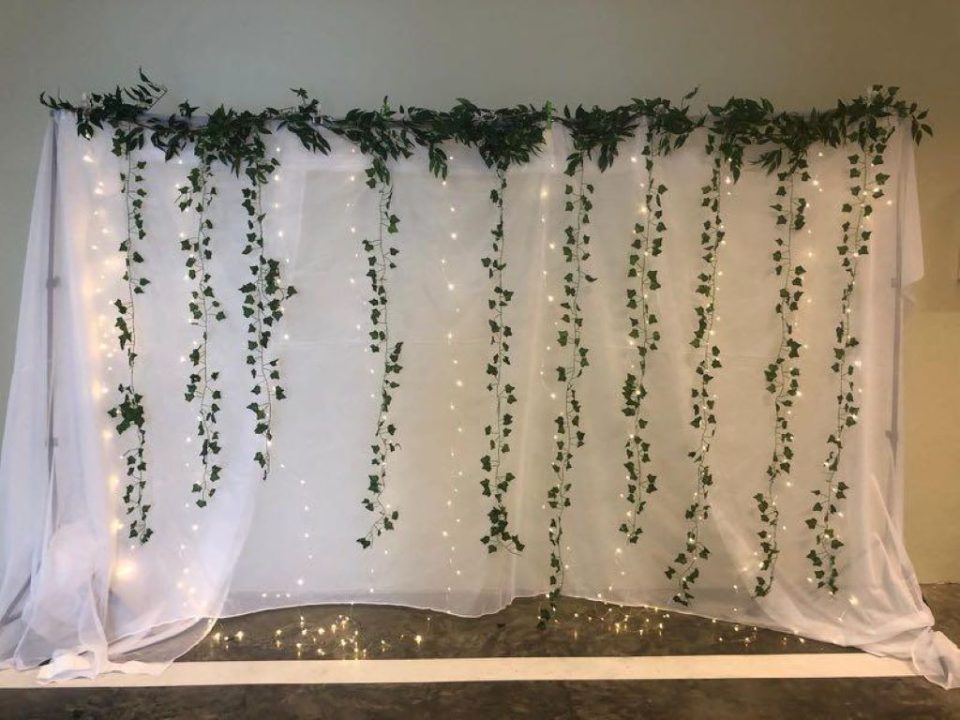 Level Up Your Events with a Portable PVC Backdrop Stand - Dino System